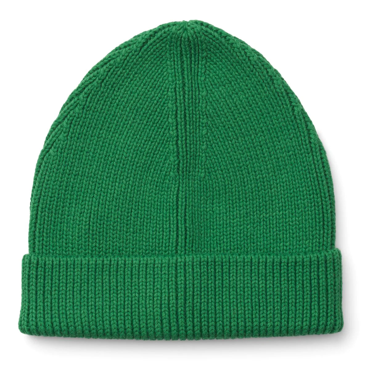 Ezra Beanie Hat ''Amazon Grass'' – folk berlin